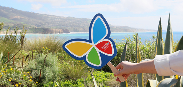 Corporate Partnership Campaign Strategy | Corporate Giving Connection